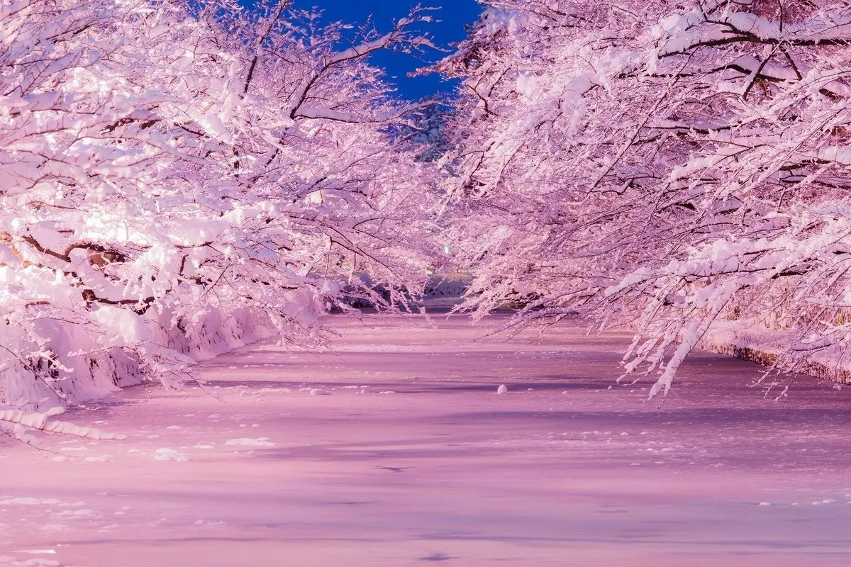 El Cerezo En Invierno: Un Periodo De Reposo Y Belleza | Guía De Arbolado