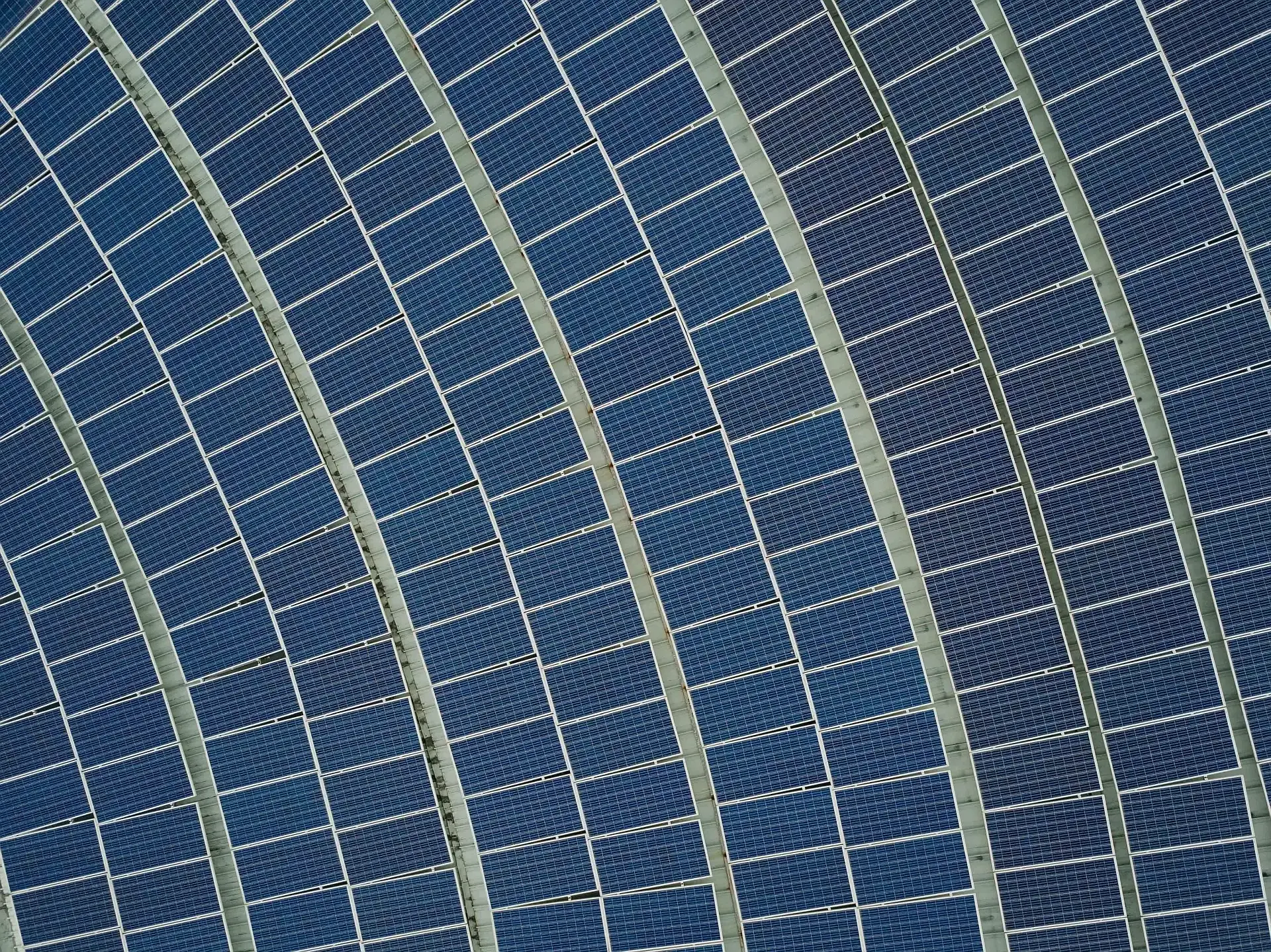 Árboles Solares: Energía Limpia Y Diseño Innovador | Guía De Arbolado